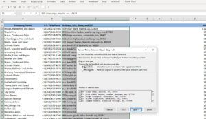 How to Clean Data in Excel: Tutorial, Screenshots, and Excel Examples