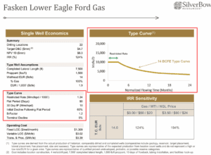 Type Curve Oil and Gas: Full Tutorial